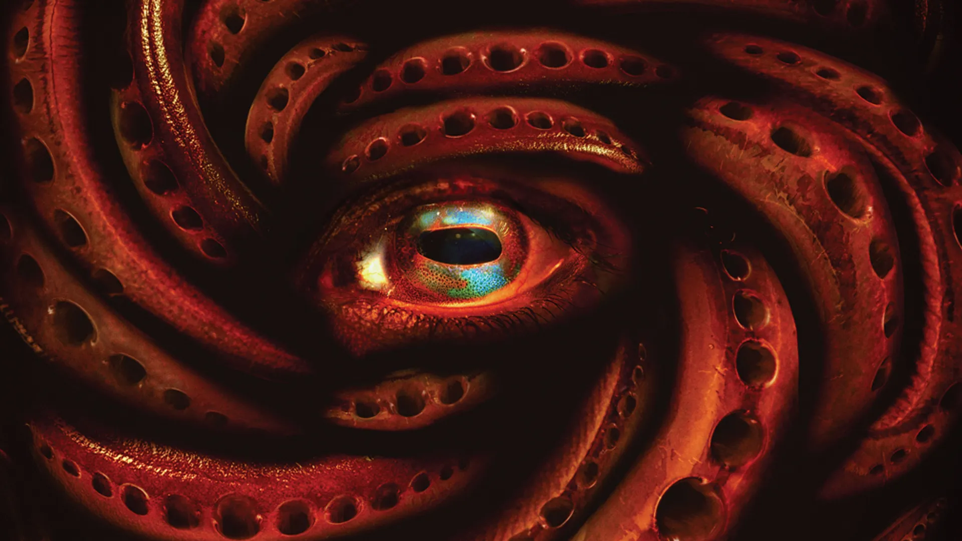 Alien Weaponry News | Kerrang!