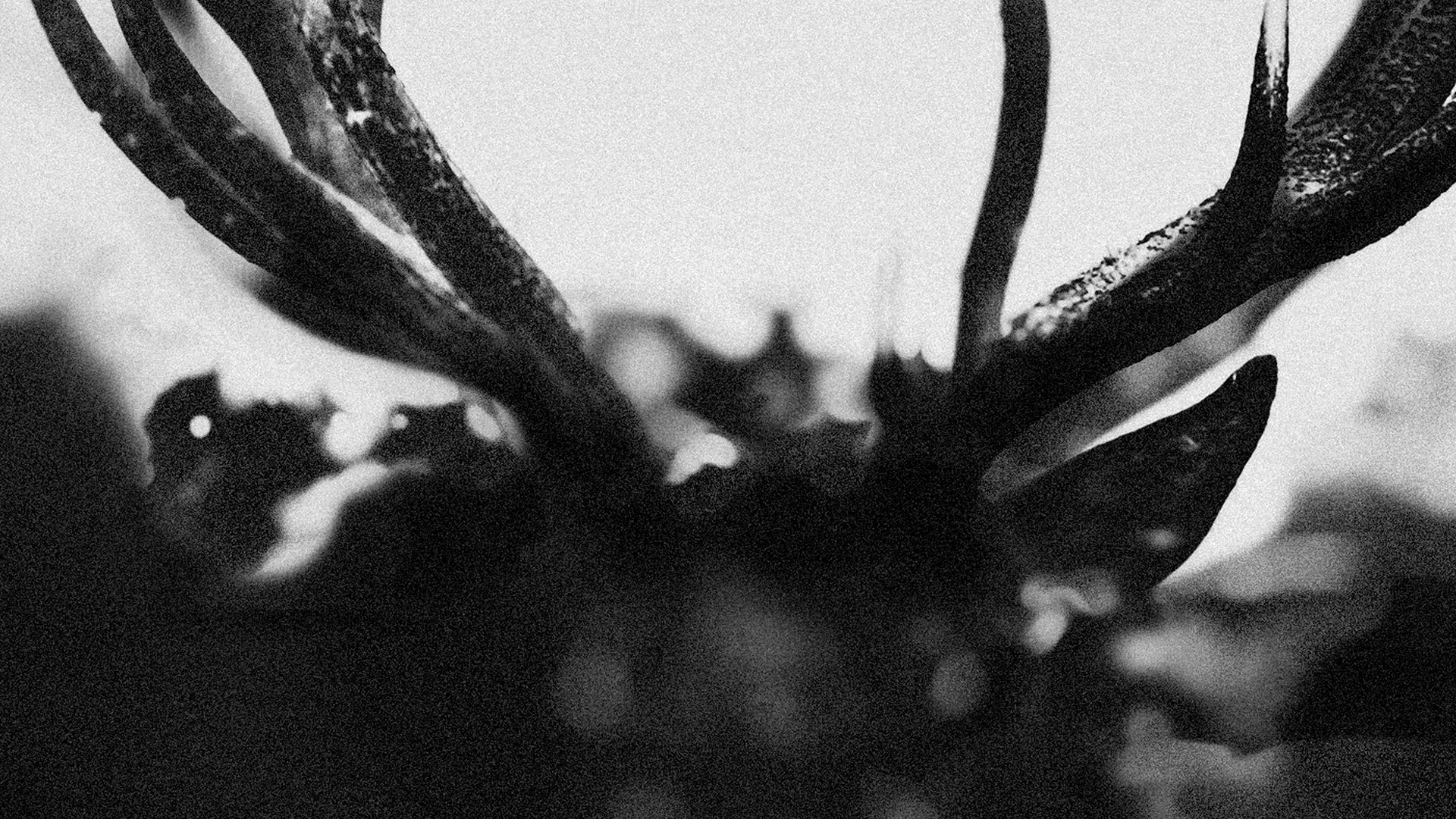 Ihsahn announces self-titled concept album, releases first… | Kerrang!