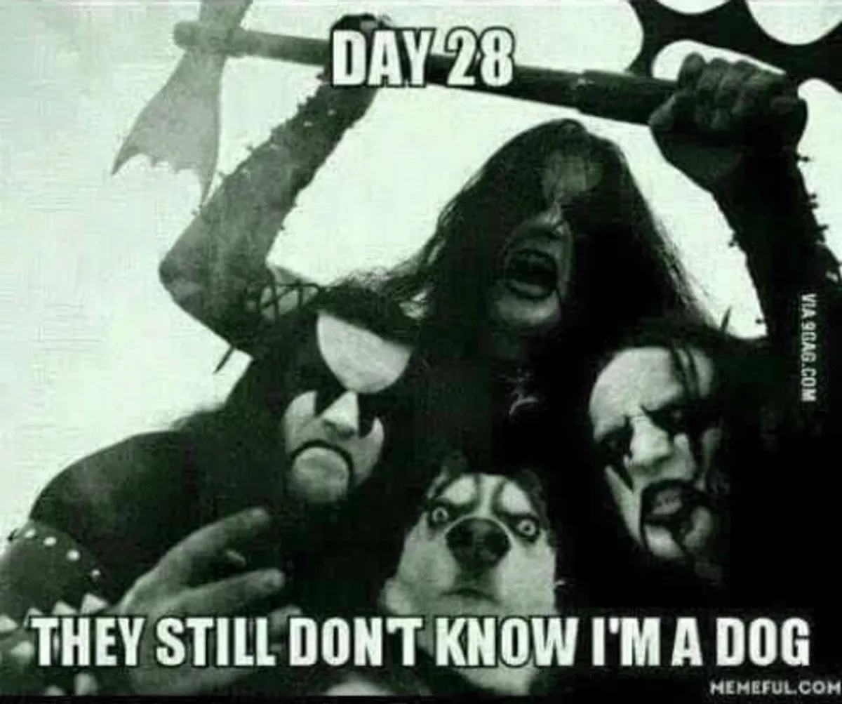 When Metal Meets Memes: From Undercover Dogs To… | Kerrang!