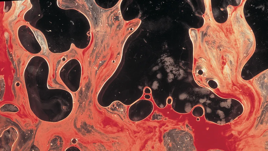 Here’s Metallica’s setlist from the first night of their… | Kerrang!