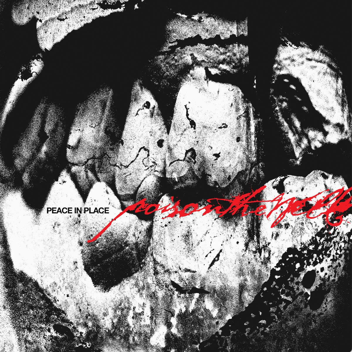 Poison The Well to return with Peace In Place, their first… | Kerrang!