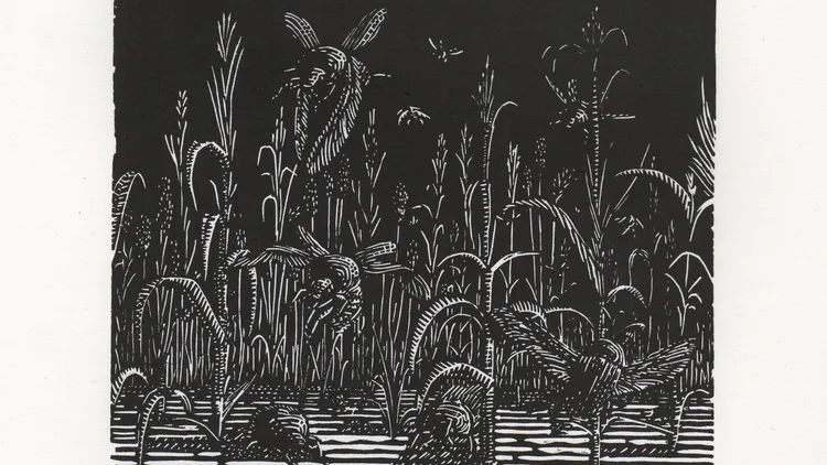 Album review: Stormo – Tagli/Talee | Kerrang!