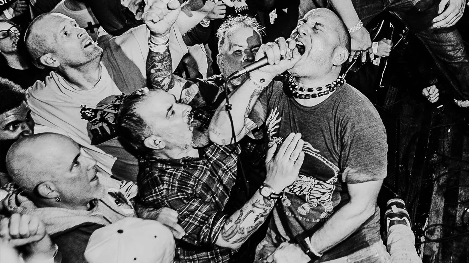 Clean Living And High Thinking: How Hardcore And Hare… | Kerrang!